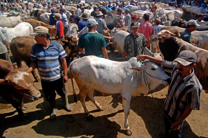 Pasar Tradisional Menurut Pasaran Jawa | Jateng Live
